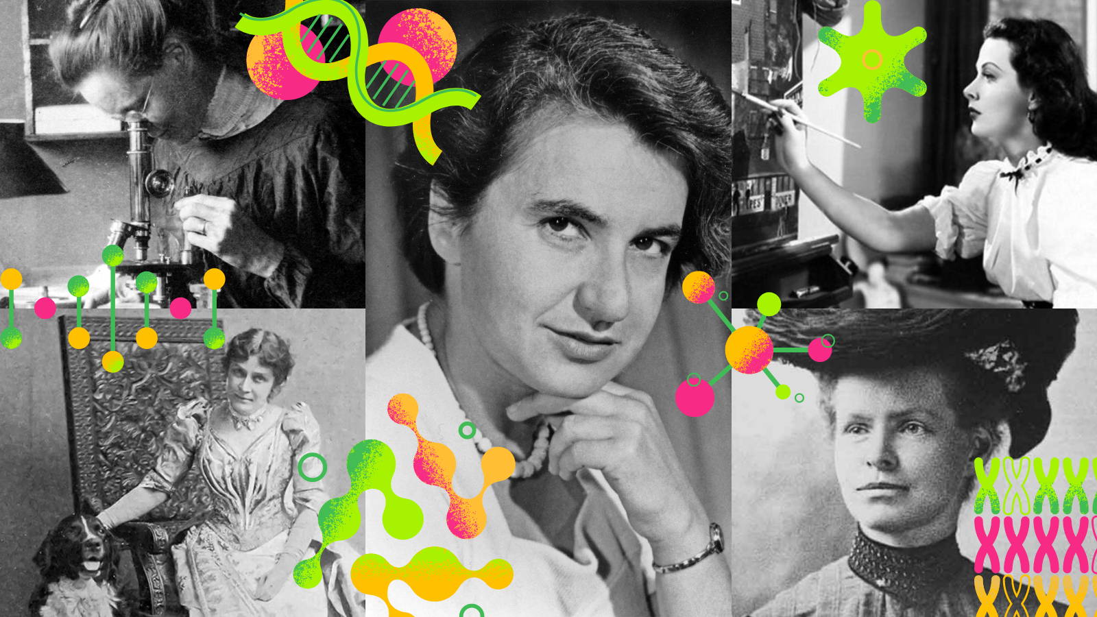 Women in Science, Part 1: Discoveries and Contributions | Future Fields